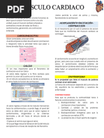 Precarga y Poscarga Cardiaca - Homo Medicus | PDF | Corazón | Sistema ...