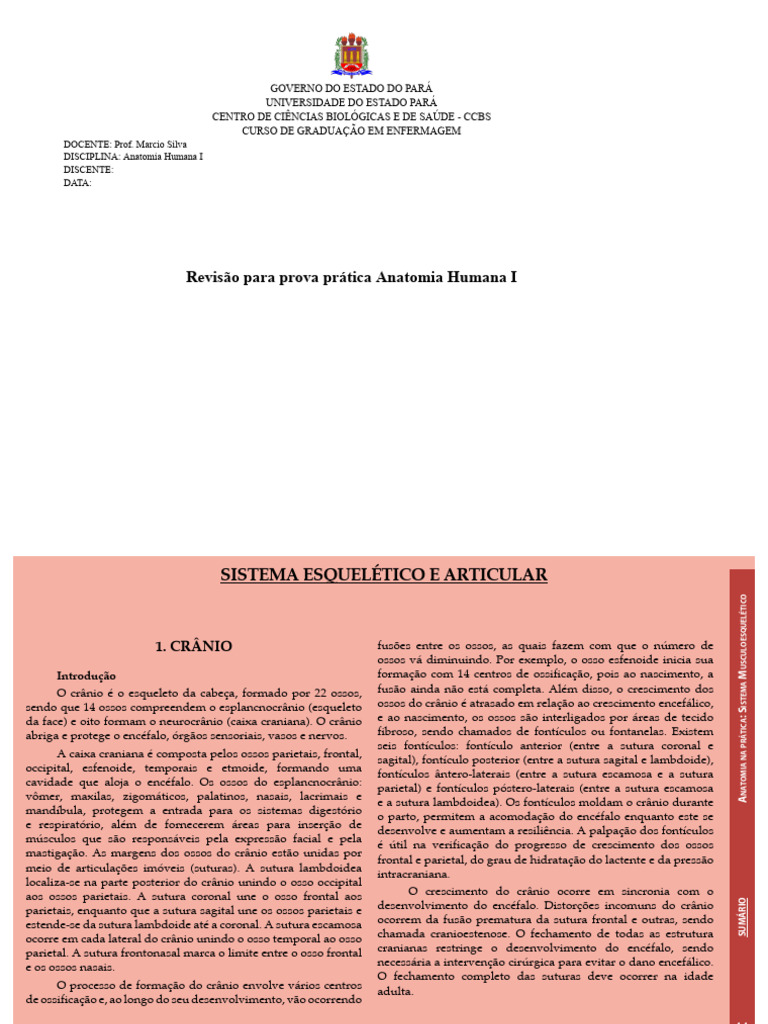 Revisão para Prova Prática Anatomia Humana I | PDF | Quadril | Sistema ...