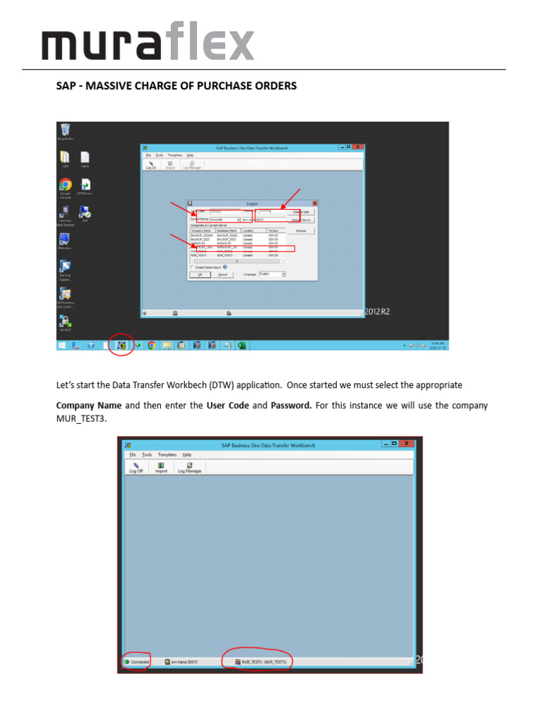 MURAFLEX - SAP Purchase Order - Massive Charge | PDF | Microsoft Excel | Text File