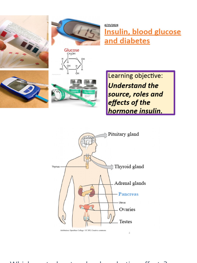 Control of Blood Glucose | Download Free PDF | Glucose | Glycogen