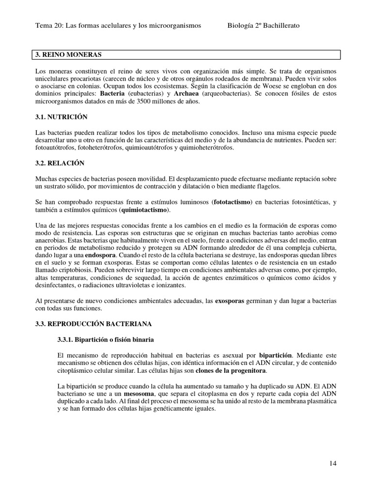 Tema 20. Parte II | PDF | Las bacterias | Algas