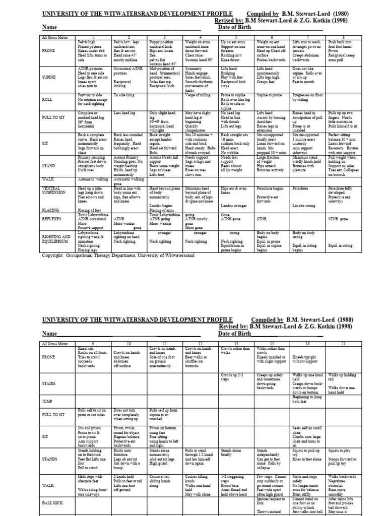 WITS developmetal profile | PDF | Anatomical Terms Of Motion | Hand