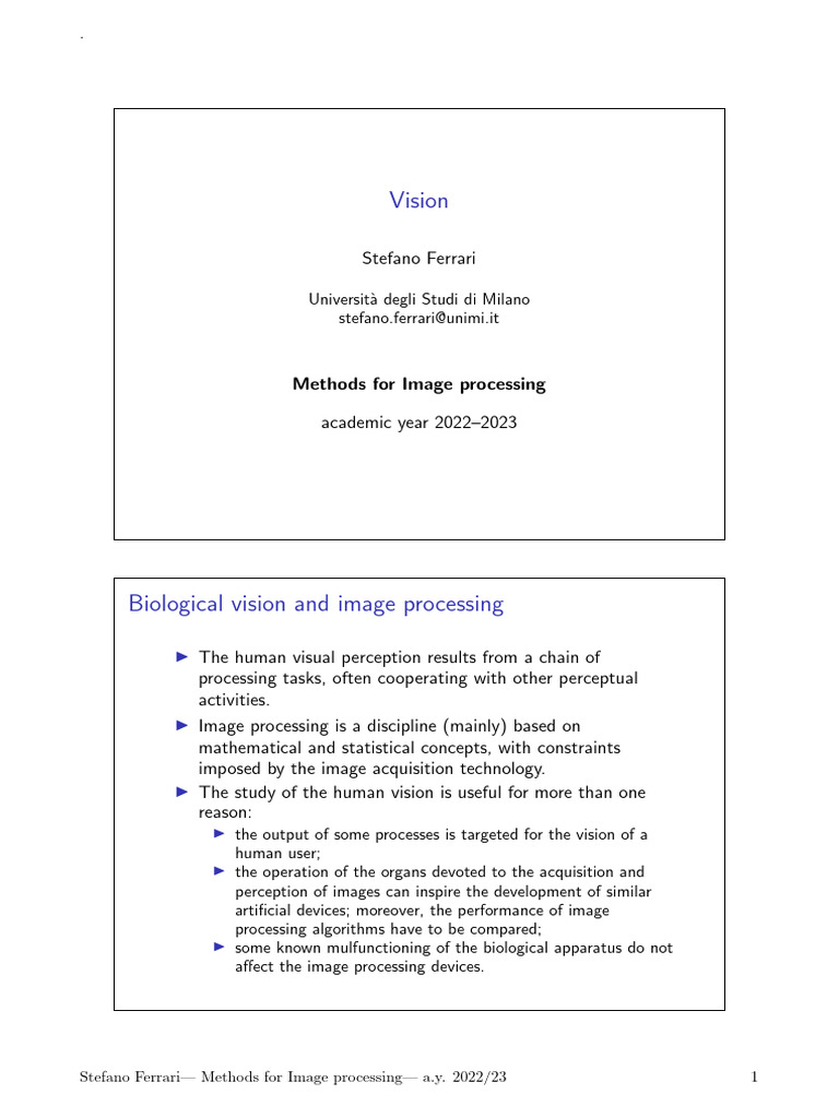 02 - Vision | Download Free PDF | Visual Perception | Illusion