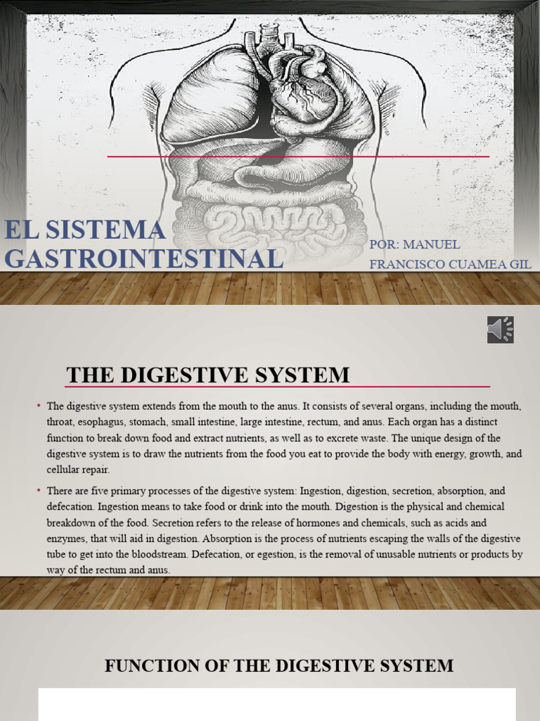 GI System | PDF