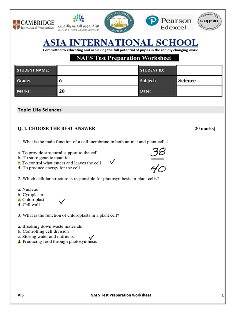 Answer Key NAFS Science Worksheet 1 | PDF | Cell (Biology) | Human Body