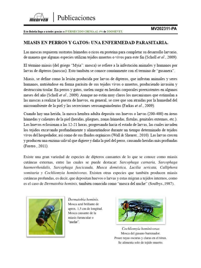 Miasis en perros y gatos: causas y tratamiento | PDF | Mosca ...