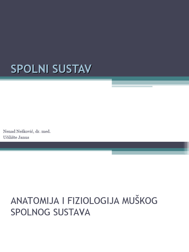 22 Spolni sustav | PDF