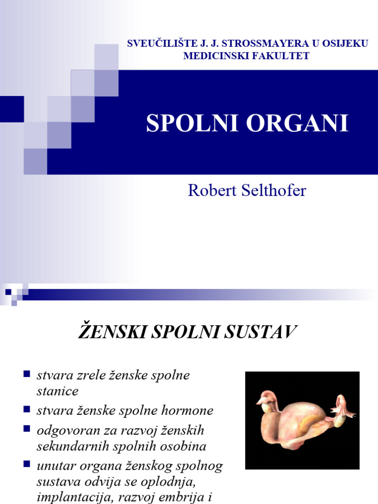 22.1 Spolni Sustav | PDF