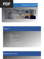 manual-de-configuracion-hcm-sap | PDF