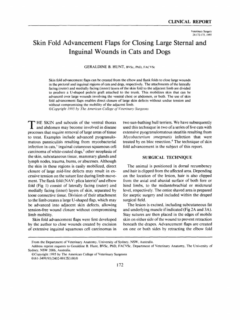 Inguinal flaps hunt1995 | PDF | Surgery | Skin