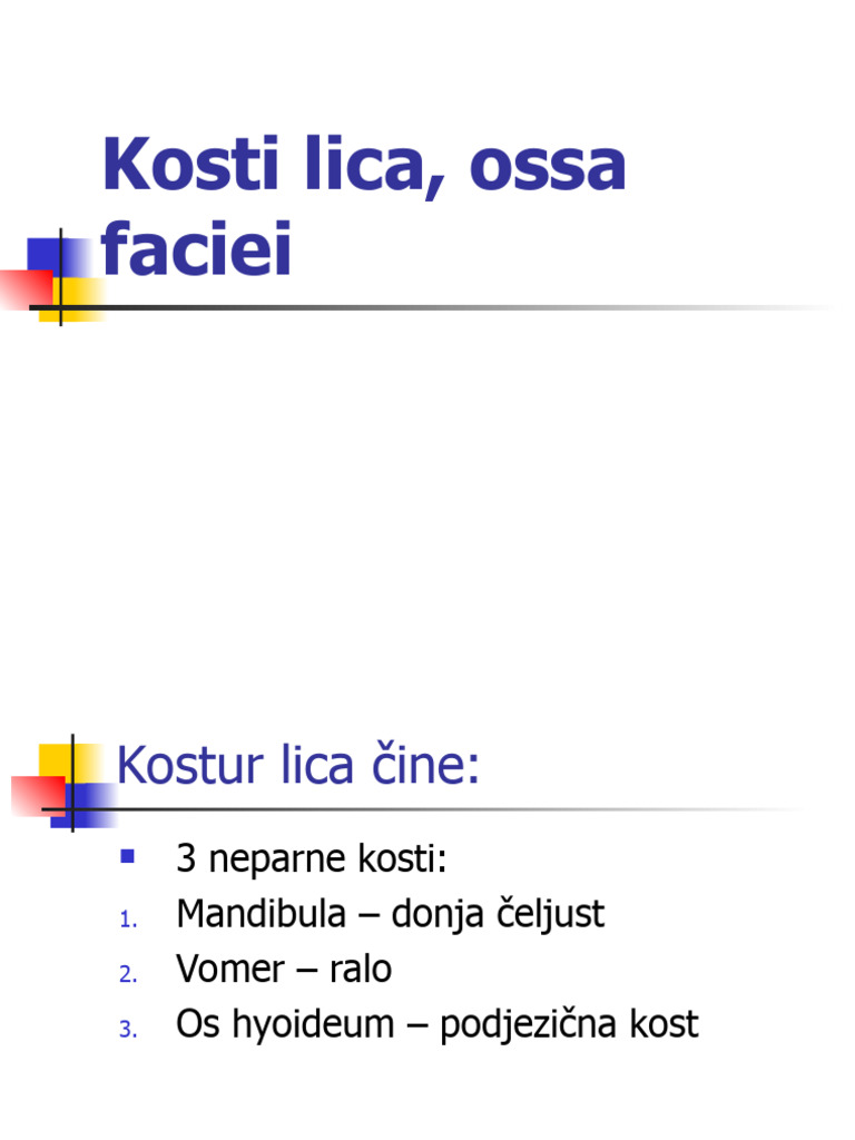 4 Kosti Lica | PDF