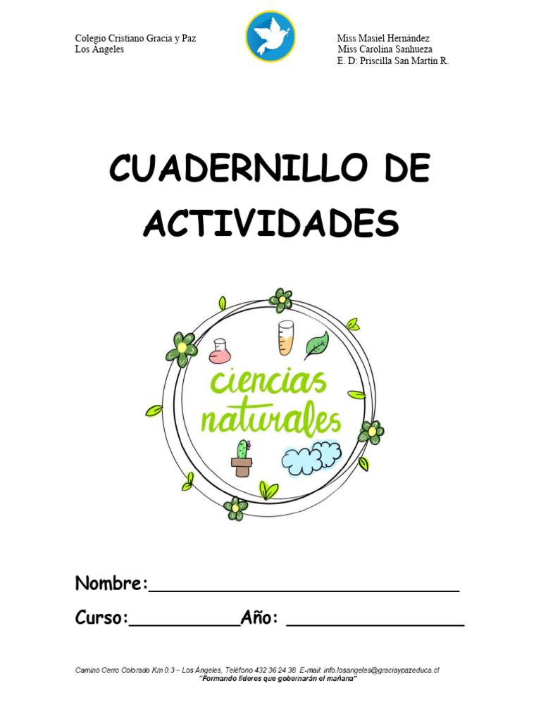 Actividades de Ciencias para Niños | PDF | Hueso | Ligero