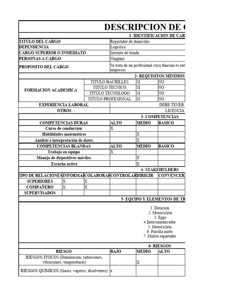 Descripcion de Empleo Vanessa | PDF