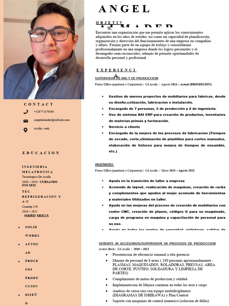 CV Angel Almader 2023 V3 | PDF | Ingeniería | Business