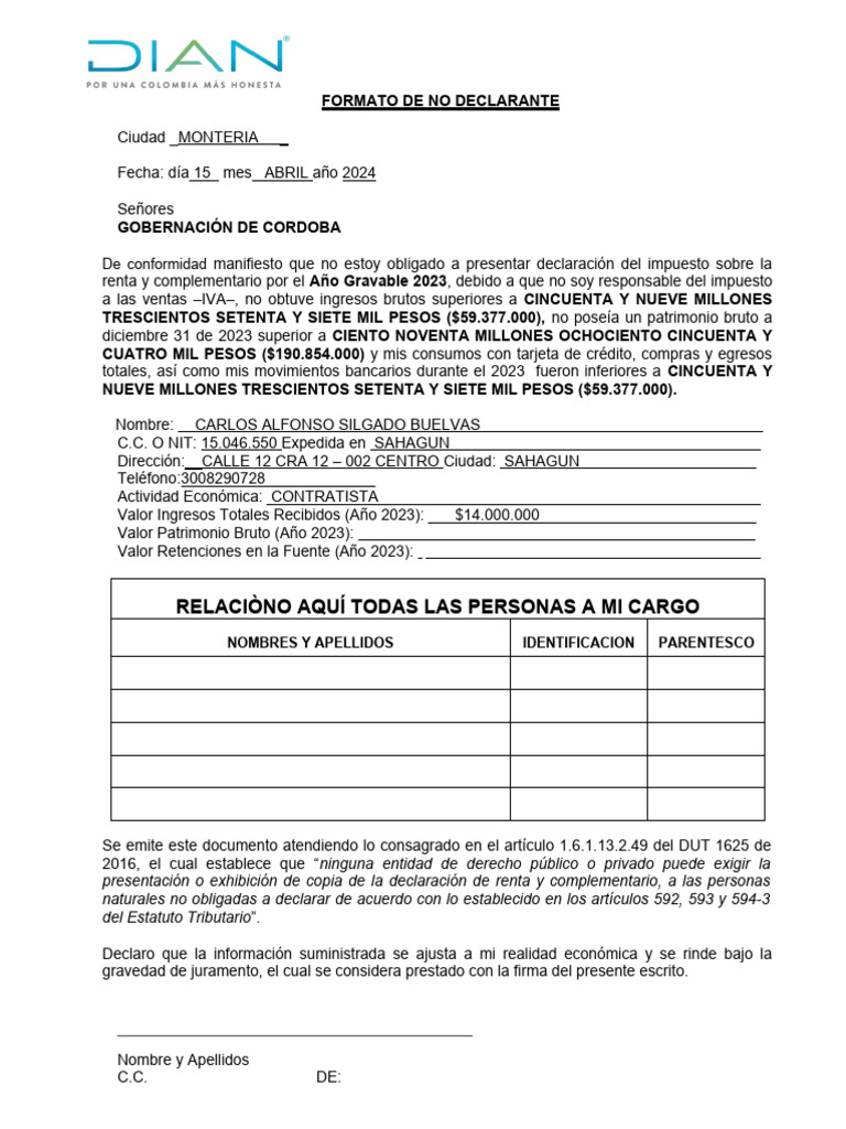 Formato de No Declarante 2023 | PDF