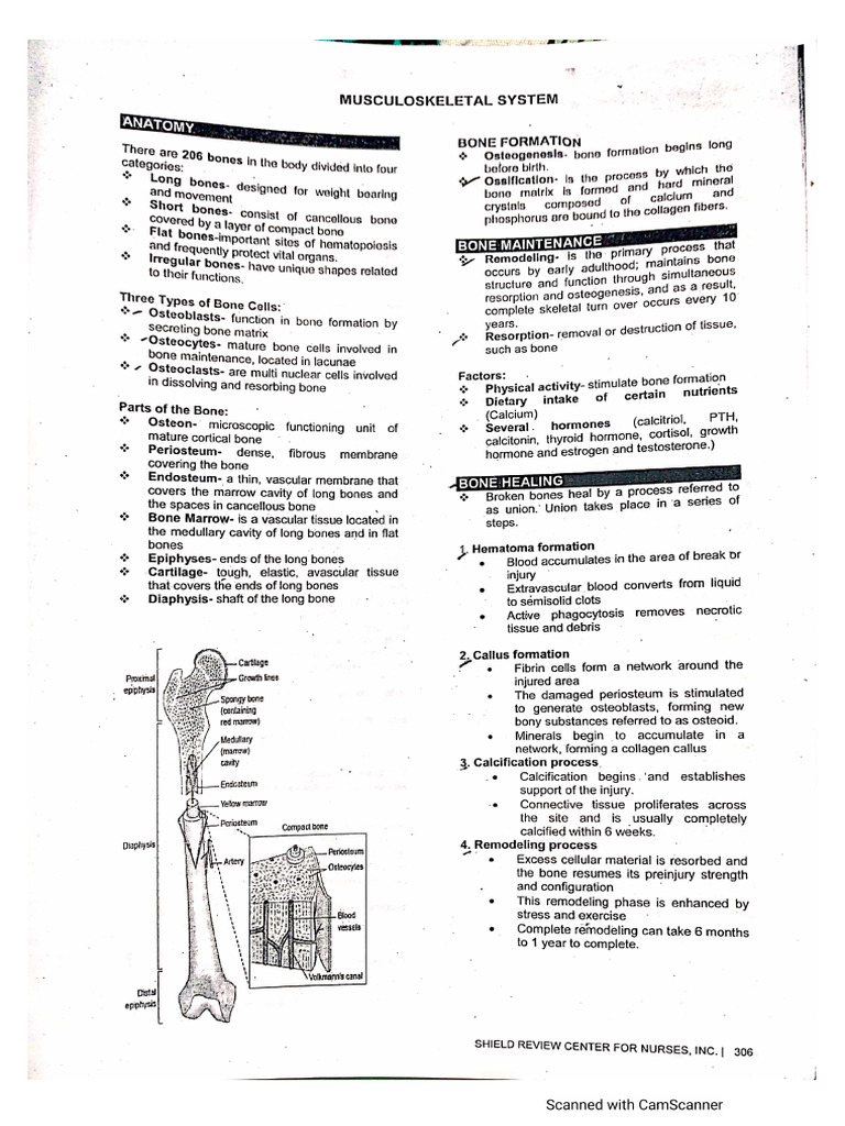 Ortho Nursing Pdf