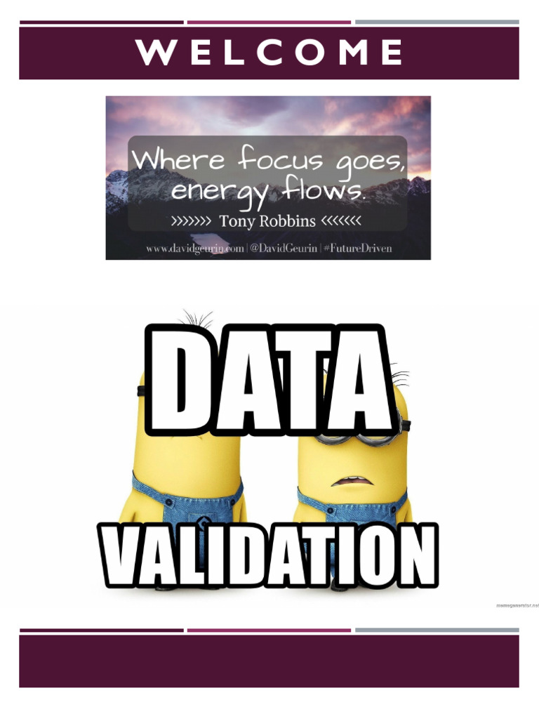 Data Validation Document | PDF | Data | Information