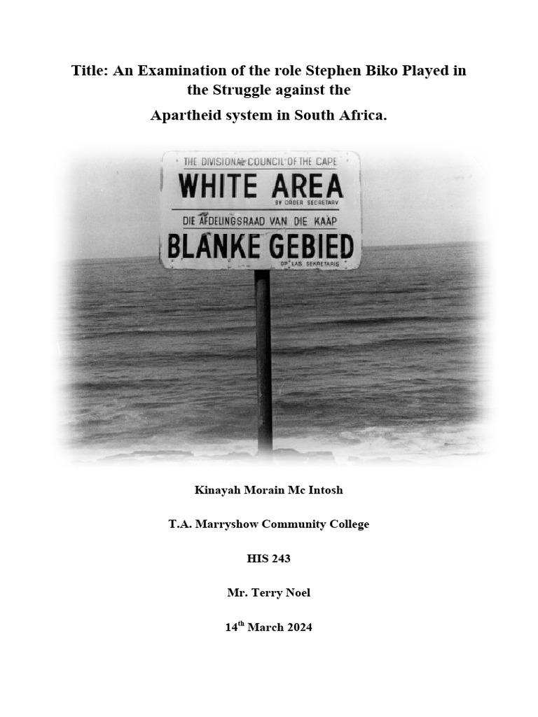 Apartheid System Edit 1 | PDF | Apartheid | Identity Politics