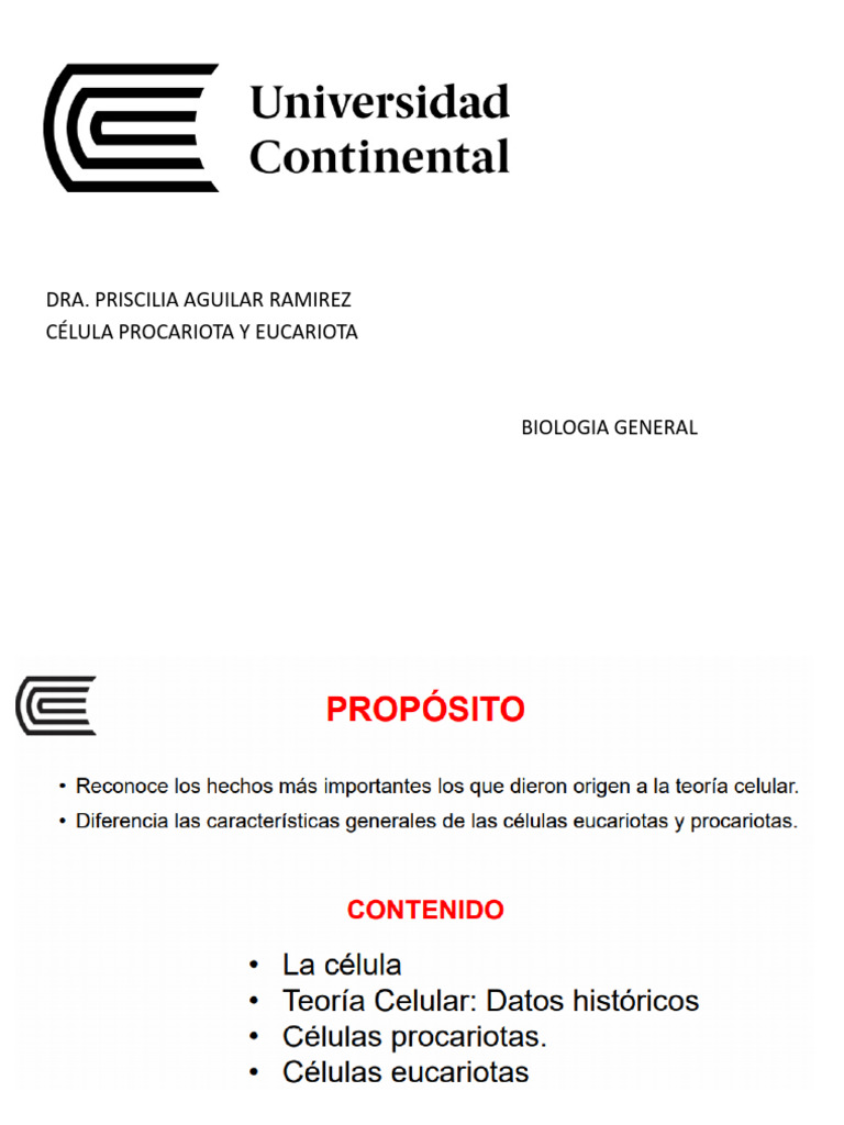 Continental Clase 5 - La Celula 2020I - Priscilia Aguilar | PDF ...