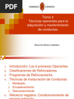 Tipos de Refuerzos y Programas de Refuerzos. | PDF | Reforzamiento ...