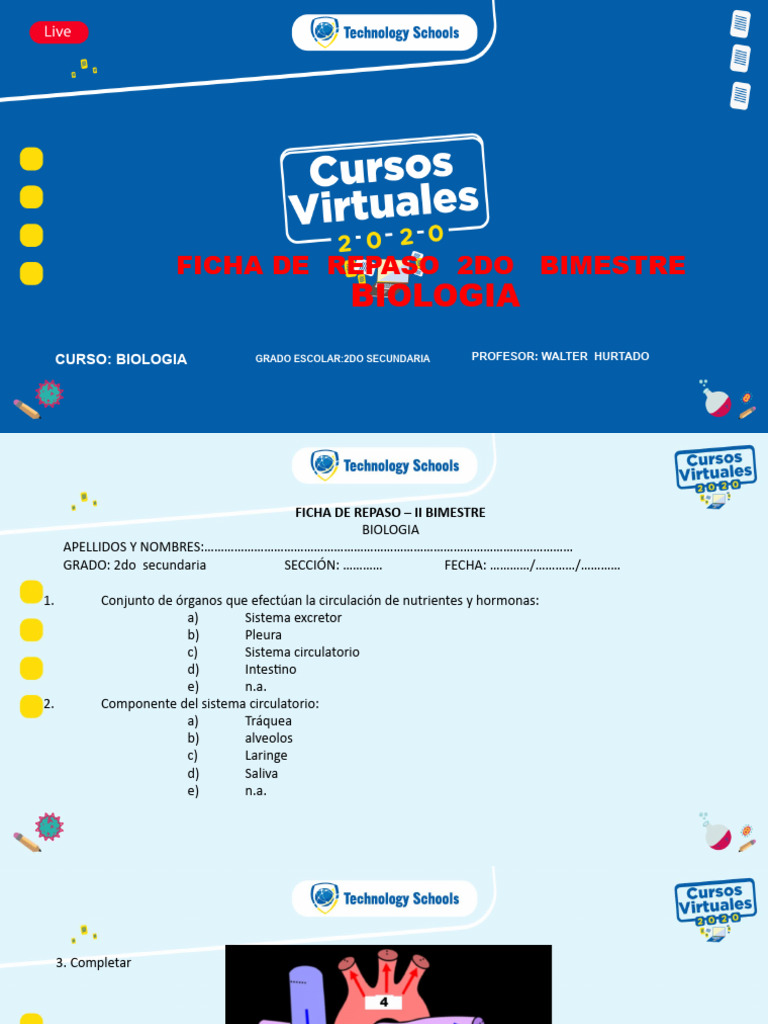 2 Sec Ficha de Repaso Ii Bimestral | PDF