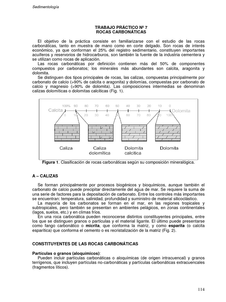 Micrita en Rocas Carbonatadas | PDF | Caliza | Roca sedimentaria