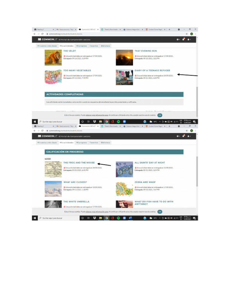 Commonlit Activities | PDF