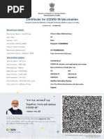 International Vaccination Certificate Form | PDF