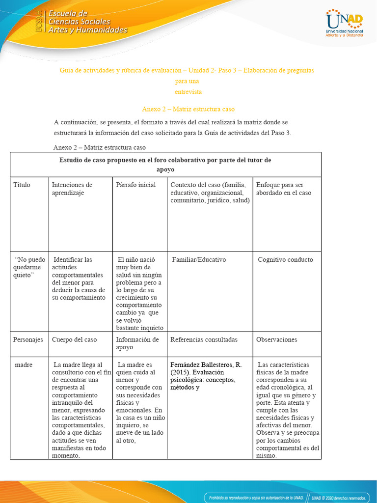 Anexo 2 -Matriz estructura caso.1111111 | PDF | Sicología | Desorden hiperactivo y deficit de ...