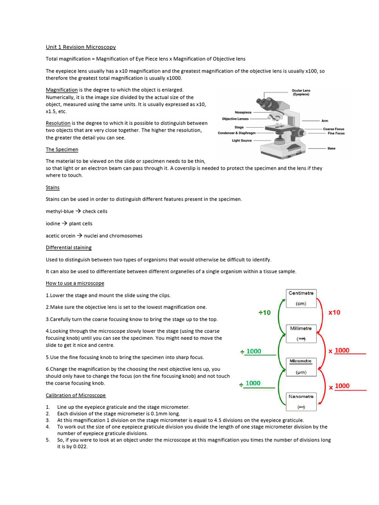 Micros | Download Free PDF | Microscope | Staining