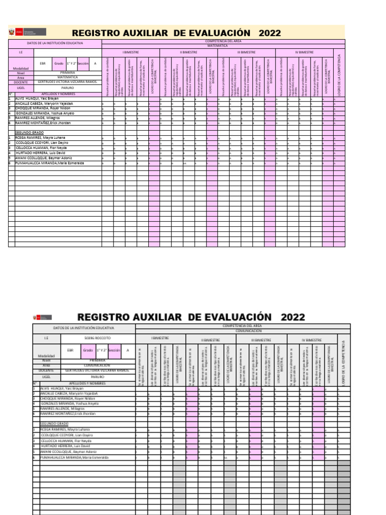Registro Auxiliar Nivel Primaria +AMAUTA PERÚ | PDF | Science