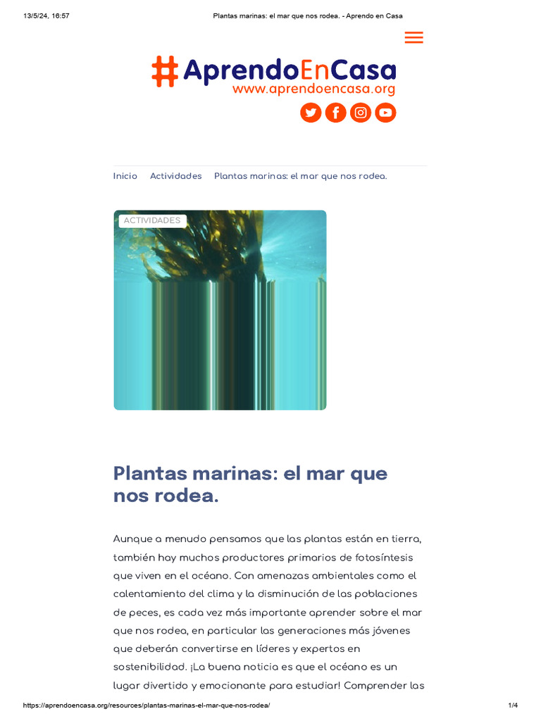 Plantas marinas_ el mar que nos rodea. - Aprendo en Casa | PDF ...