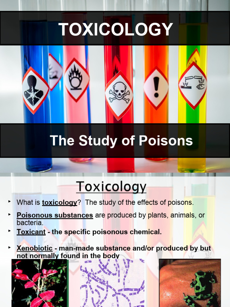 Toxicology Introduction | PDF | Opioid | Toxicology