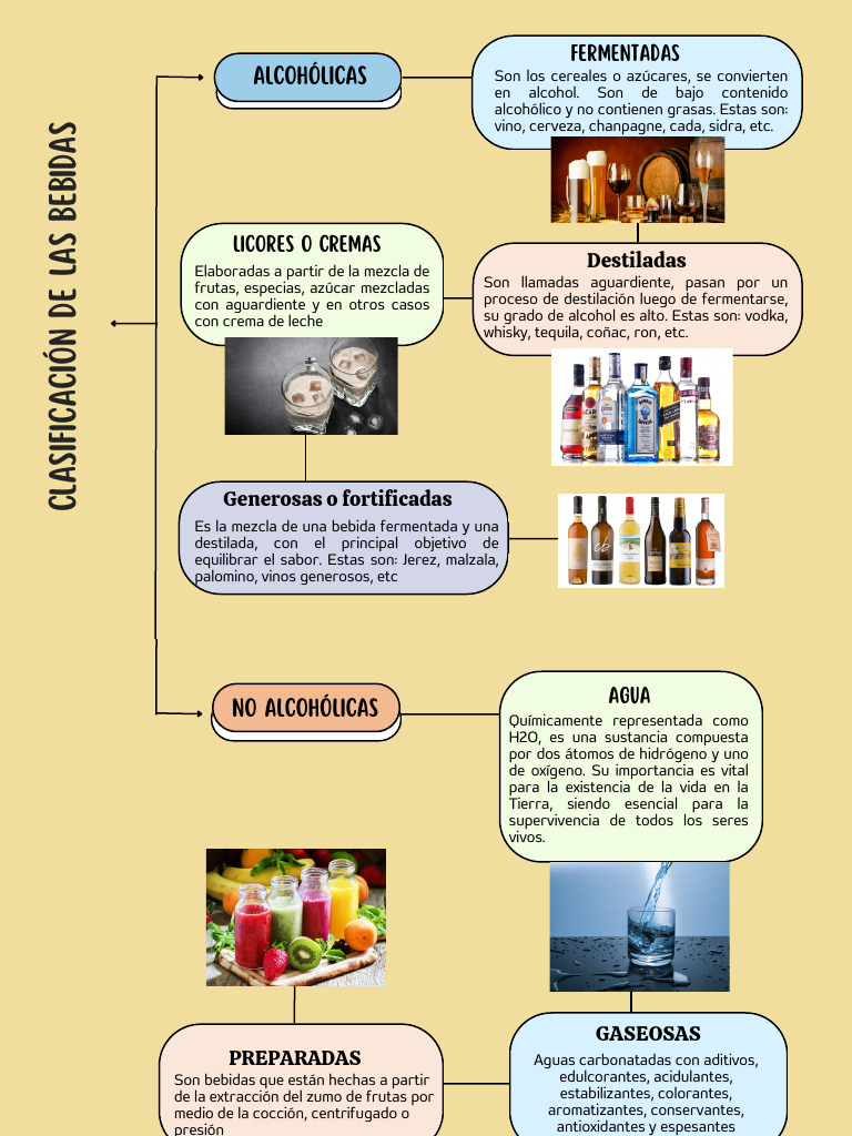 Tarea #2 - Clasificación de Las Bebidas Alcohólicas y No Alcohólicas - 10-10-23 | PDF | Bebida ...