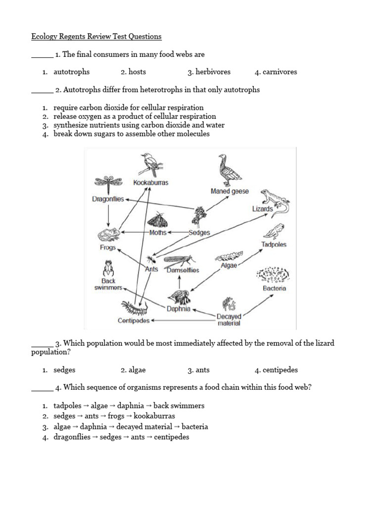 Yan Han Shao - Questions - Regents Review Questions | PDF | Food Web ...