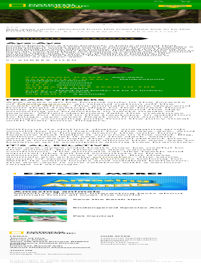 Aye Aye | PDF | Zoology