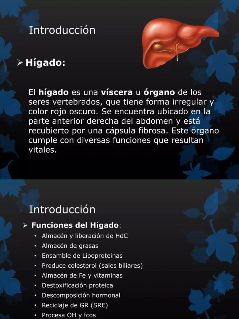 Funcion Hepatica | PDF