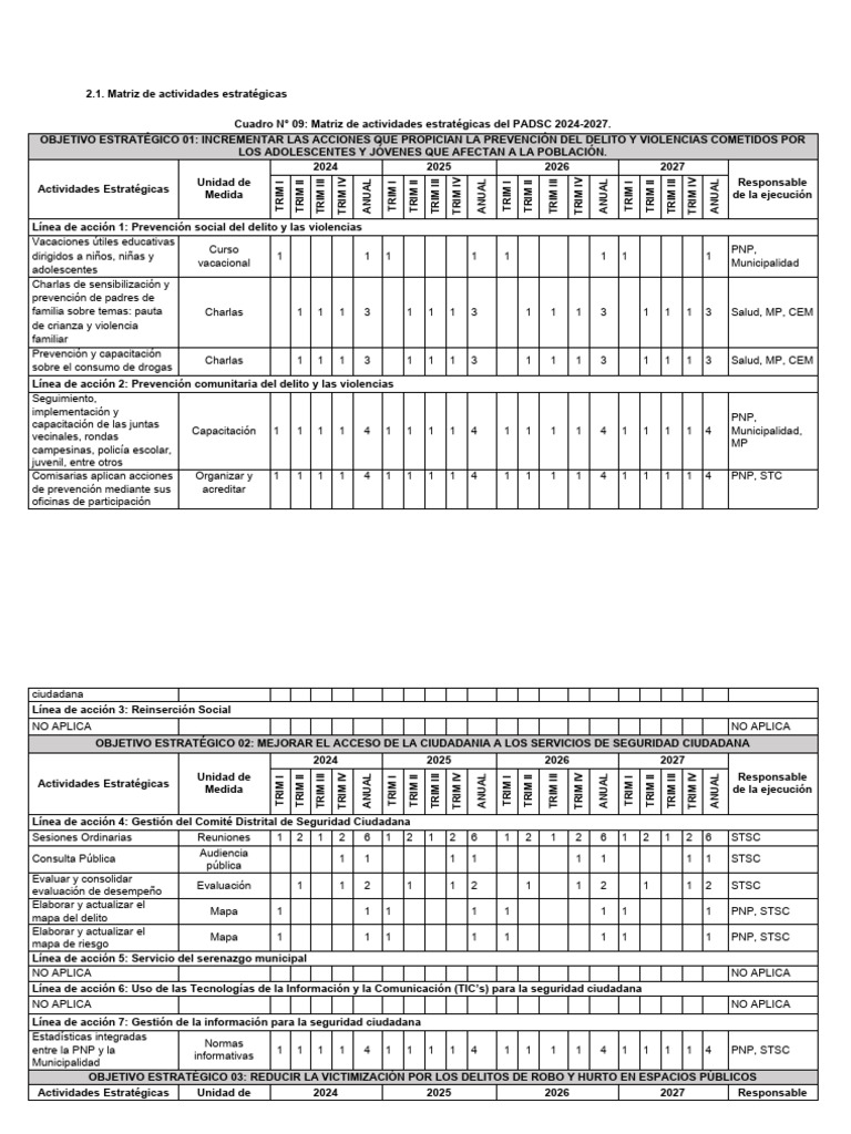 Matriz de Actividades Estratégicas CODISEC | PDF | La violencia contra las mujeres | Violencia ...