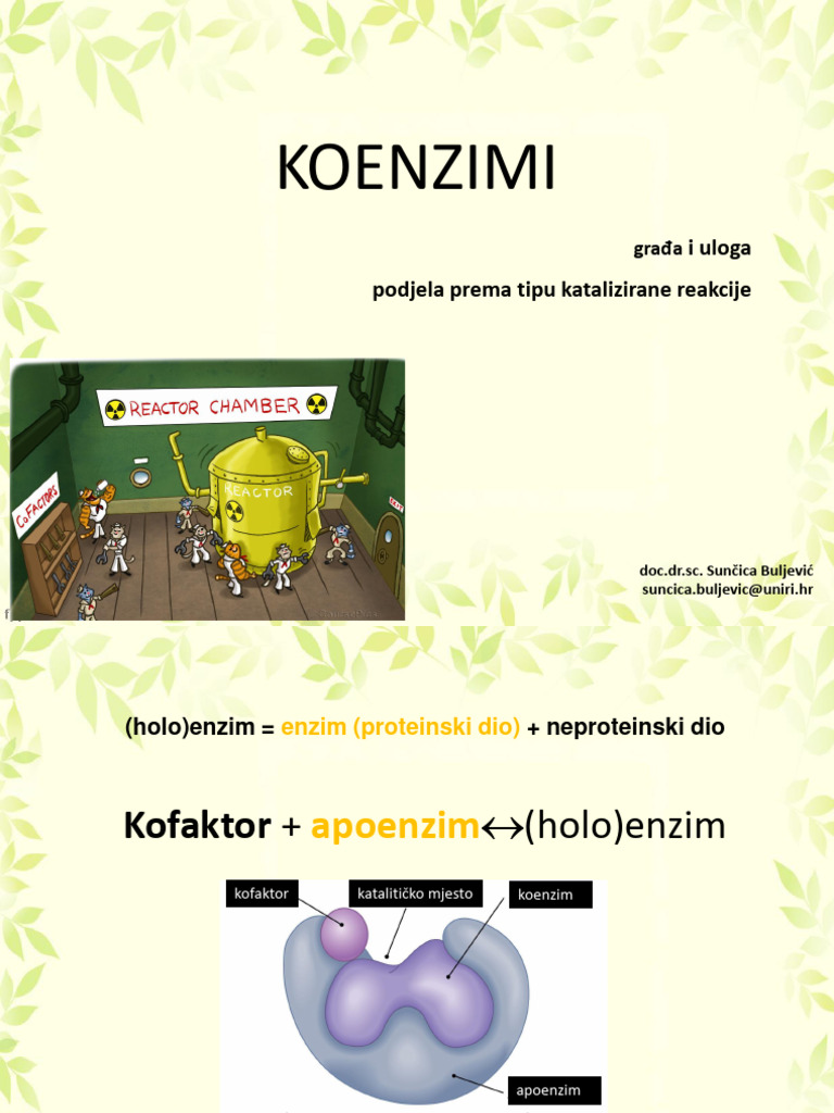P4 Koenzimi | PDF