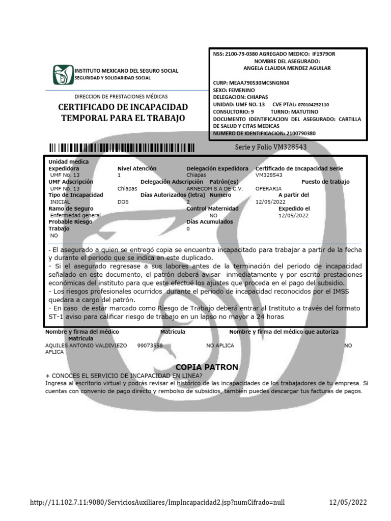 Incapacidad Imss Editable | PDF
