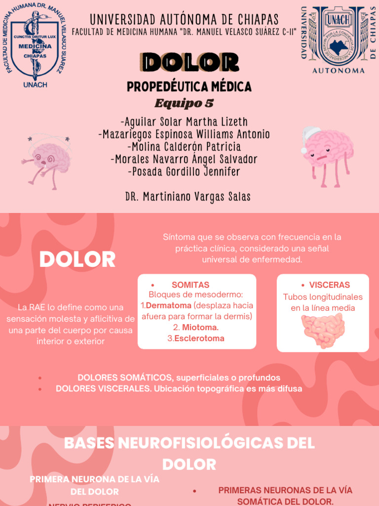 El Dolor | PDF | Dolor | Inflamación