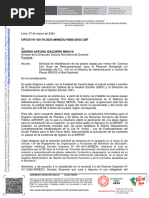 Modelo de Proveido | PDF