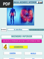 Tróclea - Qué Es, Significado, Ubicación, Función y Lesiones | PDF ...