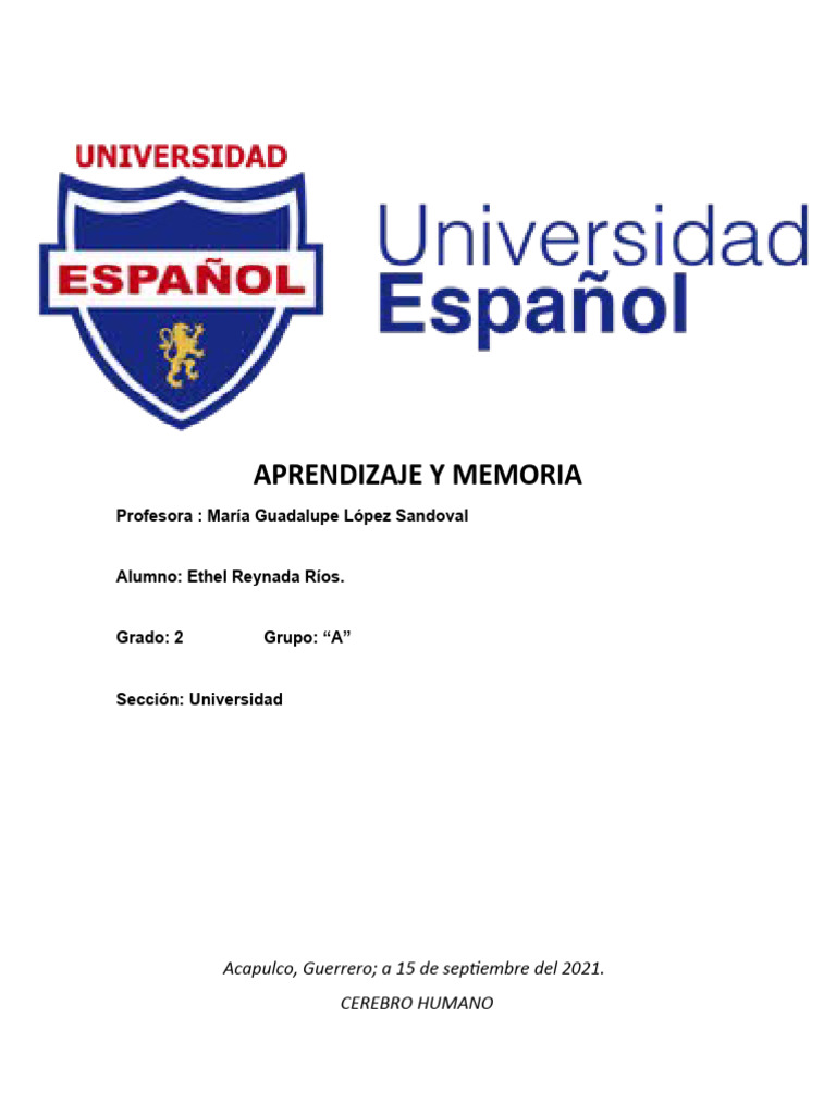 Aprendizaje Y Memoria Pdf Cerebro Memoria