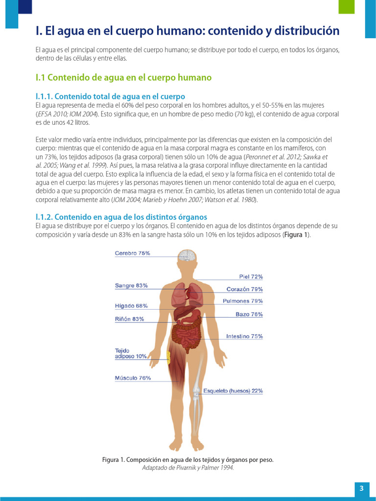Distribucion De Liquidos Corporales Pdf Agua Tracto Gastrointestinal