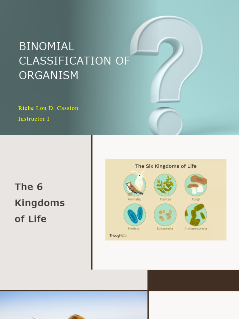 Classification of Binomial | PDF | Zoology | Organisms