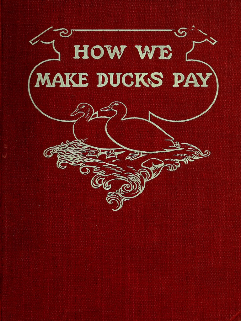How We Make Ducks Pay | PDF | Lumber