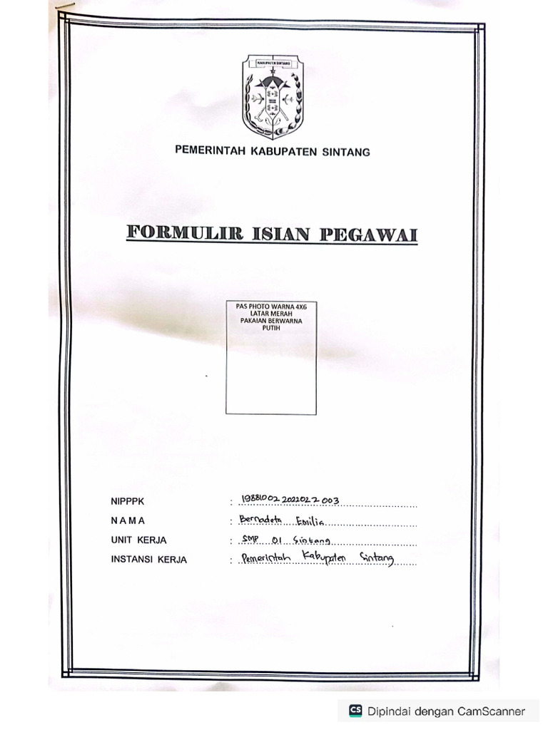 Contoh Pengisian Fip PPPK | PDF