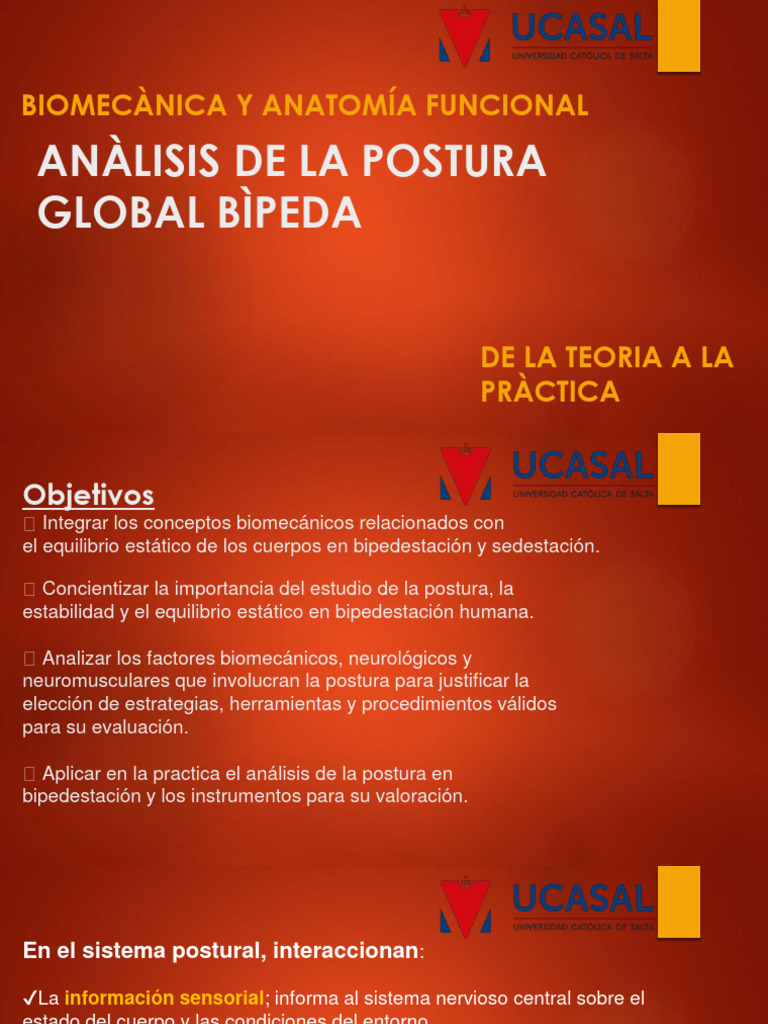 Análisis Postural Bípeda: Teoría y Práctica | PDF | Biomecánica ...
