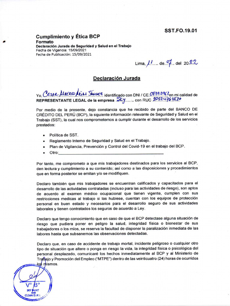 Declaracion Jurada SST - SKY Modelo | PDF
